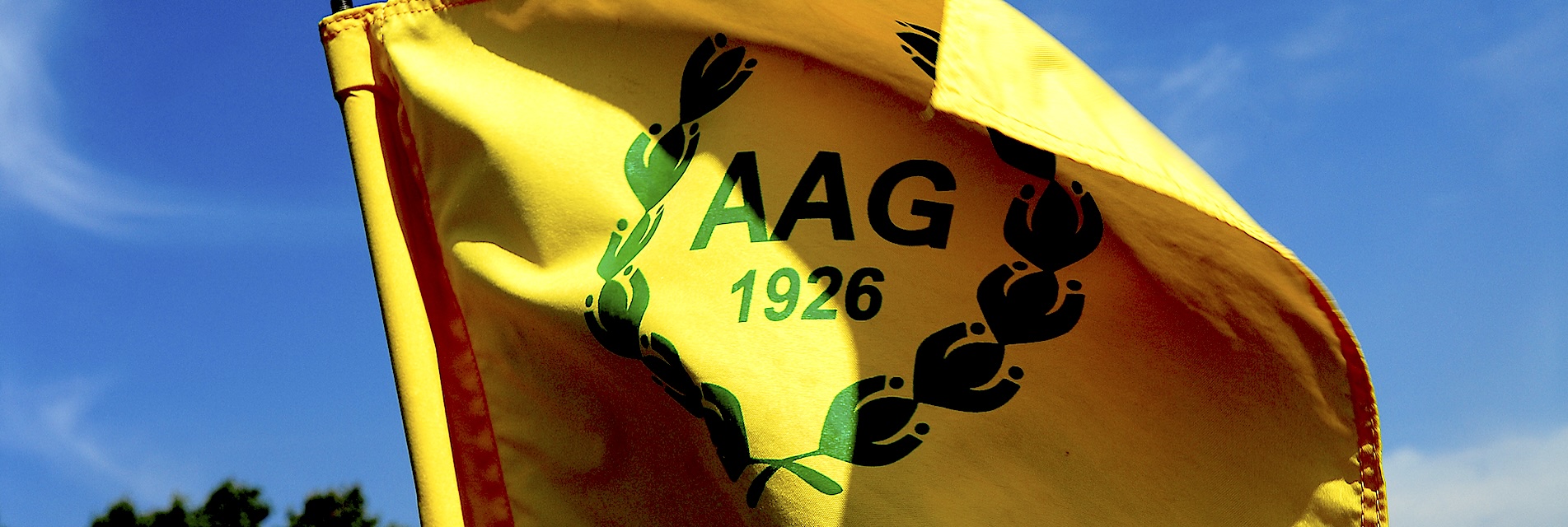 La Encuesta Nacional de Golf 2025 cierra el viernes - AAG