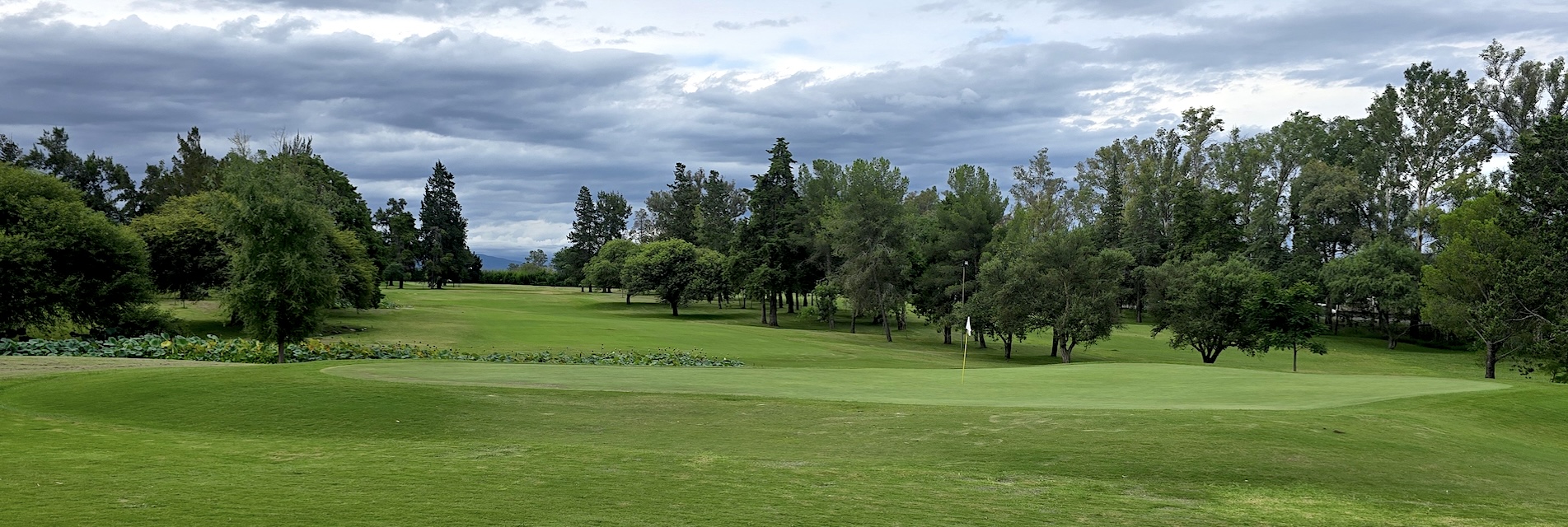 Esta semana el Salta Polo festeja su Centenario con el Abierto de Salta ...